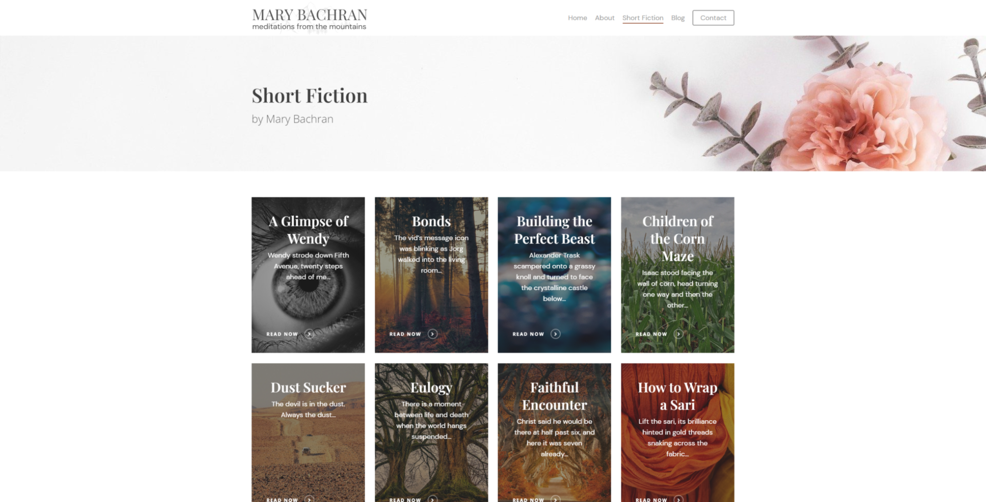 Mary Bachran - I Am Christy Eller